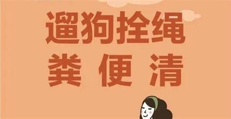 文明健康有你有我｜遛狗拴绳粪便清腾讯新闻