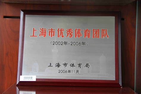 上海市优秀体育团队2002 2006 上海三林龙狮队