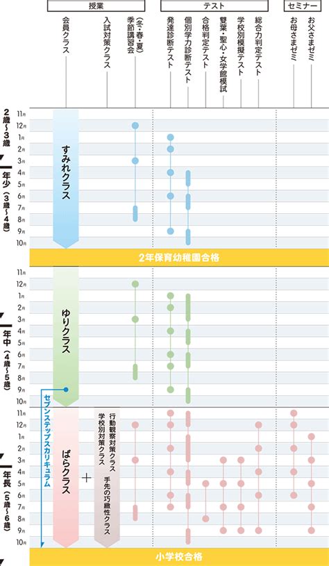 入試までの流れ 受験対策 「こぐま会」幼児教育実践研究所