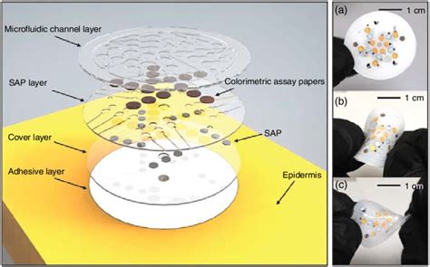 14 A The Exploded Schematic Design Illustrates The Device Structure Download Scientific