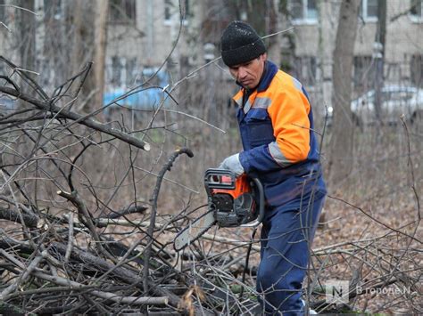 Нижегородцы чаще отказывают мигрантам в жилье после теракта в «Крокусе