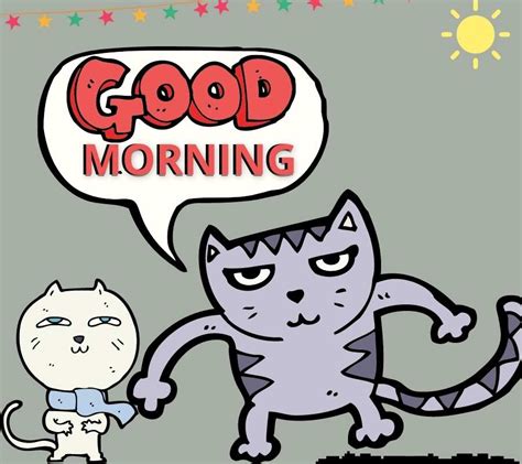 Beautiful Good Morning Cat Images Download Free In Hd