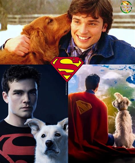 All The Live Action Versions Of Krypto Smallville Titans Superman Dc