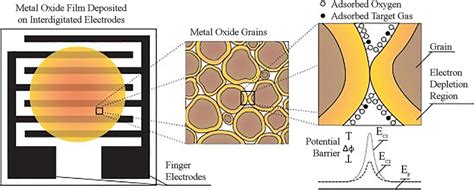 Schematic Diagram Showing A Particulate Based Thin Film Deposited On An