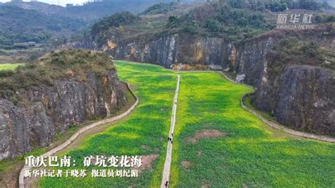 重庆巴南：矿坑变花海新浪新闻