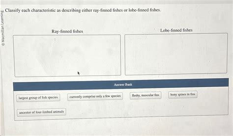 Solved Classify Each Characteristic As Describing Either Chegg