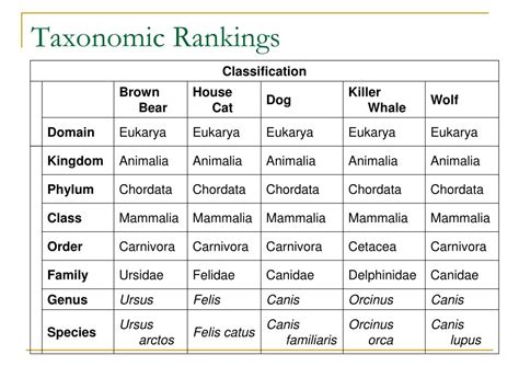 What Is Taxonomy Examples Levels Classification