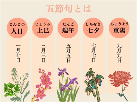 9月9日 重陽の節句 菊の節句の歴史楽しみ方 フラワーショップみなと