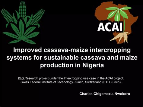 Parallel Session 2 5 Improved Cassavamaize Intercropping Systems