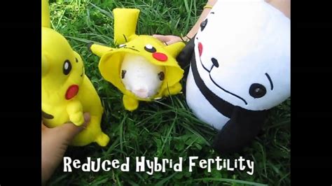 Postzygotic Barriers Youtube