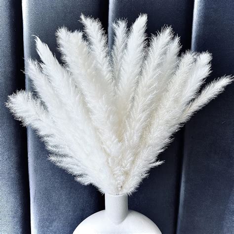 Buy Pampas Grass Boho Decor Dried Flowers Coffee Table Decor White Pampas Grass Farmhouse