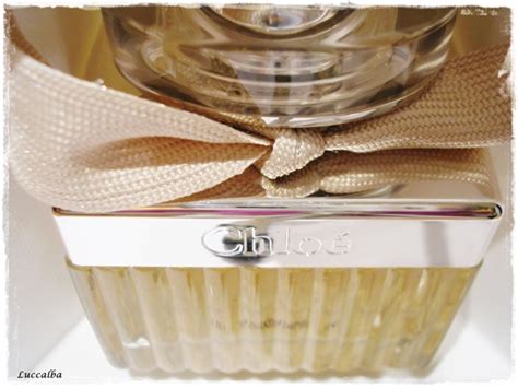 Luccalba Chloé Versus Bottega Veneta