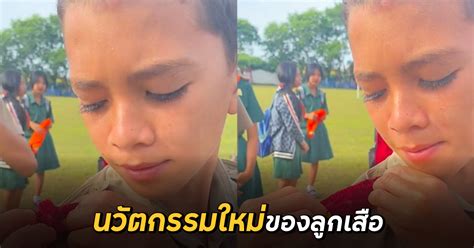 นวัตกรรมใหม่ของลูกเสือ อินทรธนูระบบอัตโนมือ สามารถพับเก็บได้