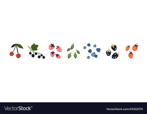 Berries Set Cherry Black Currant Raspberry Vector Image
