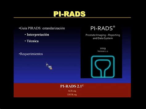 Pi Rads 4 5 Lesion Clearance Wholesale Brunofuga Adv Br