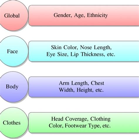Soft Biometrics Modalities And Features Present In Human Body Download Scientific Diagram