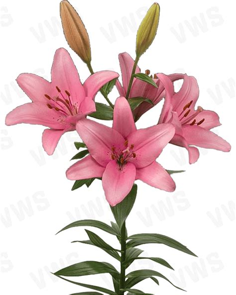 301 Moved Permanently