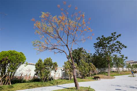 台中太平馬卡龍公園由垃圾山變成特色公園，多項設施還有寵物專區 17旅行