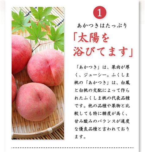 【楽天市場】ふくしま桃の和菓子 6個入箱 ／ かんのや 公式 通販 和菓子 わがし 桃山 ももやま お菓子 おかし 桃 もも 伝統 老舗 定番