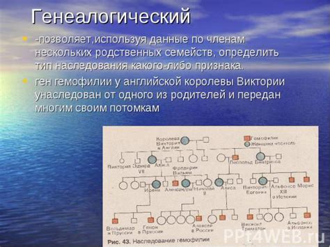 Презентация на тему ГЕНЕТИКА скачать презентации по Медицине