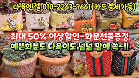 💥 50이상할인 화분선물증정 너무너무 예쁜 화분에 잘키운 다육이가 넘 맘에들어요~♡ Succulentplant 多肉植物 Youtube