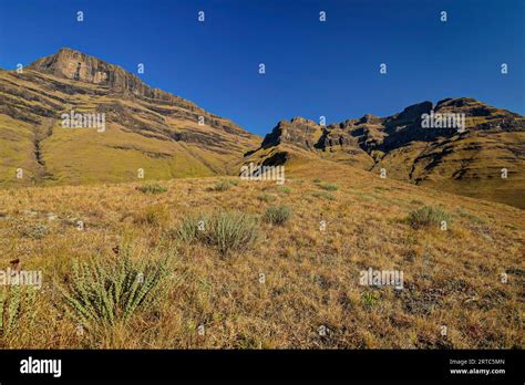 View Of Drakensberg From The Climb To Langalibalele Pass Langalibalele