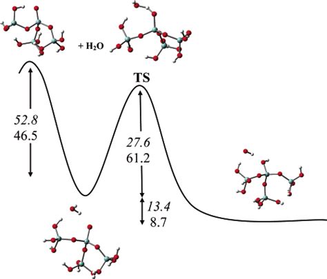 Schematic Reaction Coordinates For Reactions 5 In Italics And 6 The
