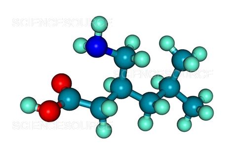 Photograph Lyrica Pregabalin Molecular Model Science Source Images