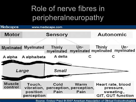 Approach To Peripheral Neuropathy