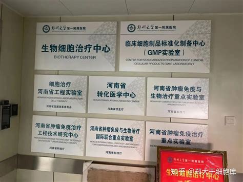 走进郑州大学第一附属医院生物细胞治疗中心 郑大干细胞库 知乎