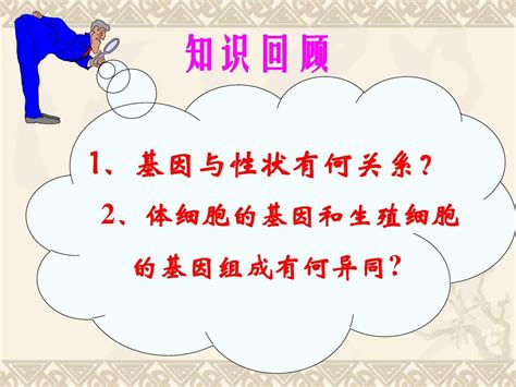 人教版八年级生物下册第七单元第二章第三节 基因的显性和隐性30张pptword文档在线阅读与下载无忧文档