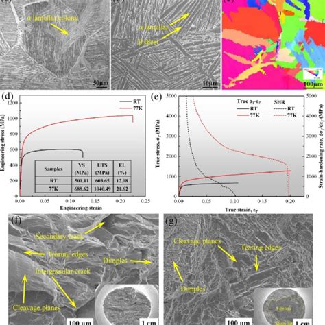 Microstructure Of Ti 3al 2zr 15mo Alloy With Lamellar Microstructure