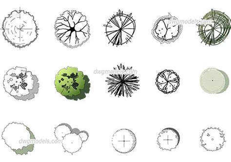 Trees And Plants DWG Models CAD Drawings Free Download Page 2