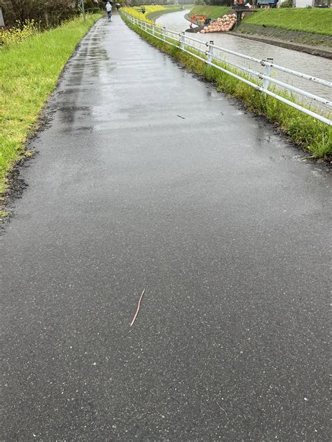 ꉂ ๑ਊ かんこ on Twitter うーん足の小指が痛い 熱はもってない 普通にしてたら全然気にならない でも