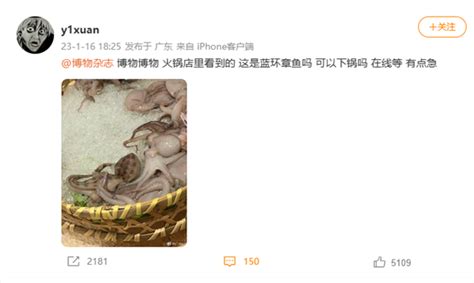 火锅店内惊现剧毒蓝环章鱼 网友在线请教：还好没吃非常在线