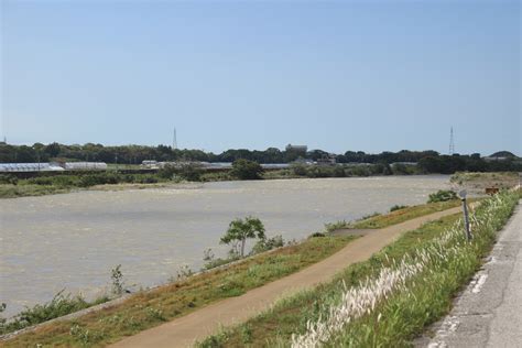 物部川下流部の状況について 物部川漁業協同組合からのお知らせ