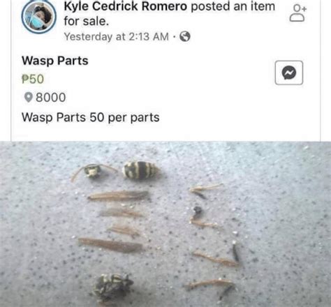 Wasp Rule R 196