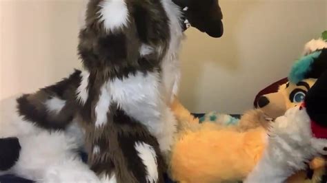 Fursuit Sex Video 57