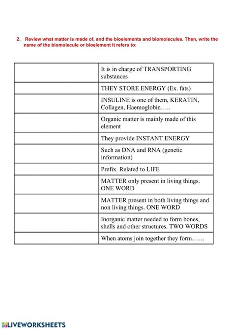 Biomolecules An Free Interactive Worksheets 156803