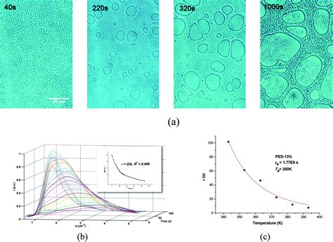 Effect Of Size And Content Of Mesoscopic Fillers On The Polymerization Induced Viscoelastic