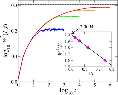Plot Of W L T Against T On Logarithmic Scales For L And Download Scientific