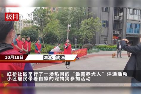 “宠”爱不掉链！红桥社区评出“最美养犬人”