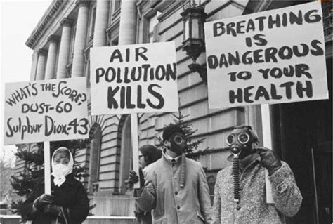Environmental Movement Timeline Timetoast Timelines
