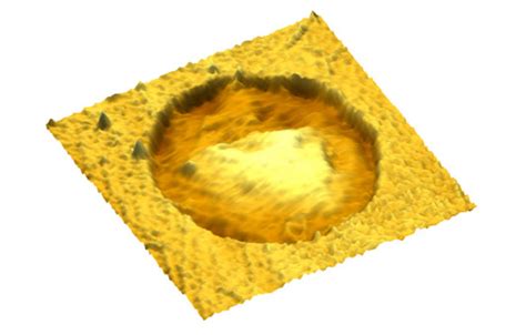 Fusionscope By Quantum Design Applications For Our Afm Sem Correlative Microscopy Platform