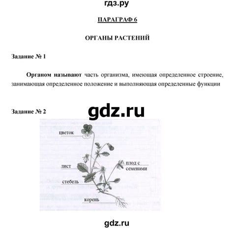 ГДЗ параграфы 6 биология 6 класс рабочая тетрадь Пасечник, Суматохин