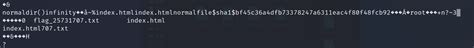 Ctfhub 信息泄露 Svn泄露 Jokakblog