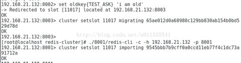 redis cluster 集群一致性原理及slot迁移测试 redis集群 slot位图同步 csdn博客