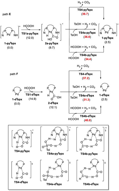 The Dehydrogenation Of Hcooh Respectively Catalysed By Pd Py T Bpx And Download Scientific