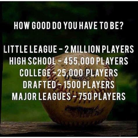Could You Be One Of The 750 Sign Up For The Southwest Professional Baseball Combine At