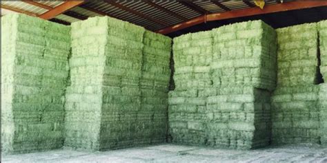 A Comprehensive Guide To Buying Hay Bales For Sale The Daily